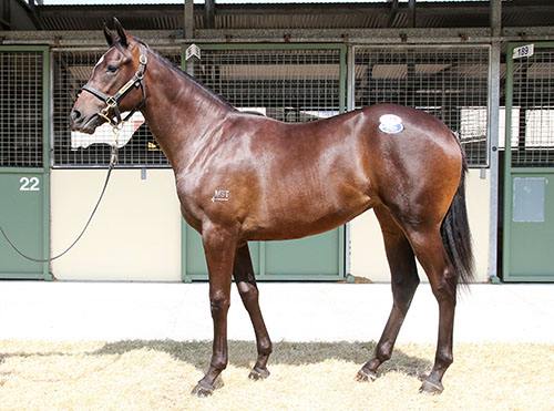 United Syndications Win a Share
